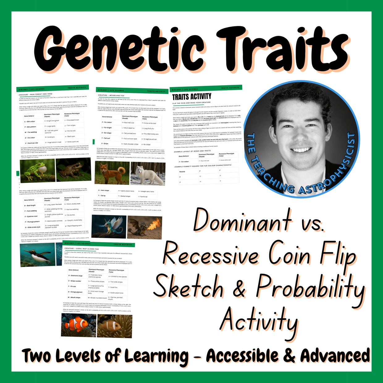 Genetic Traits Probability Sketch Activity | Punnett Square | Biology ...