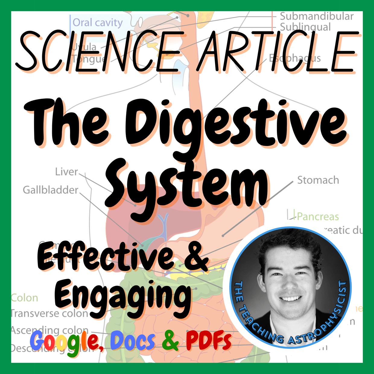 The Digestive System Biology Science Reading Comprehension Passage ...