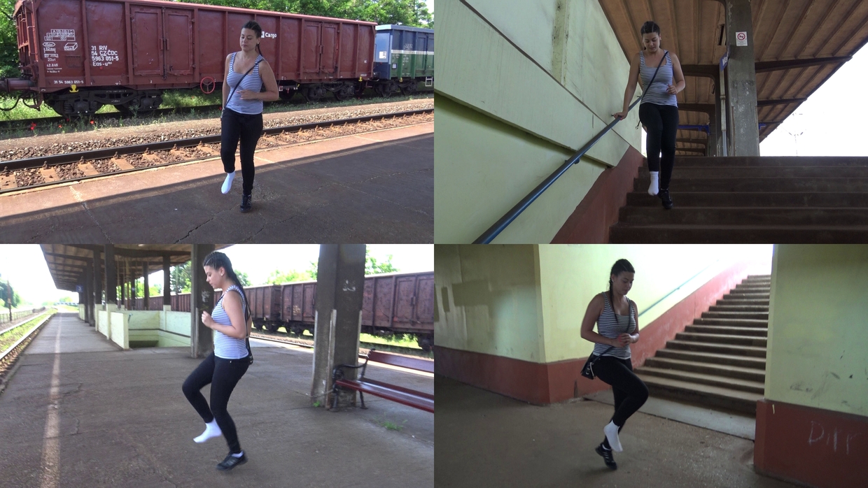 Timmi - Arrived on one leg