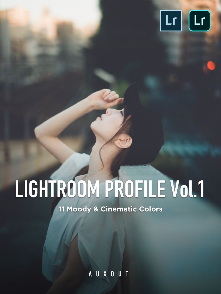 LIGHTROOM PROFILE Vol.1