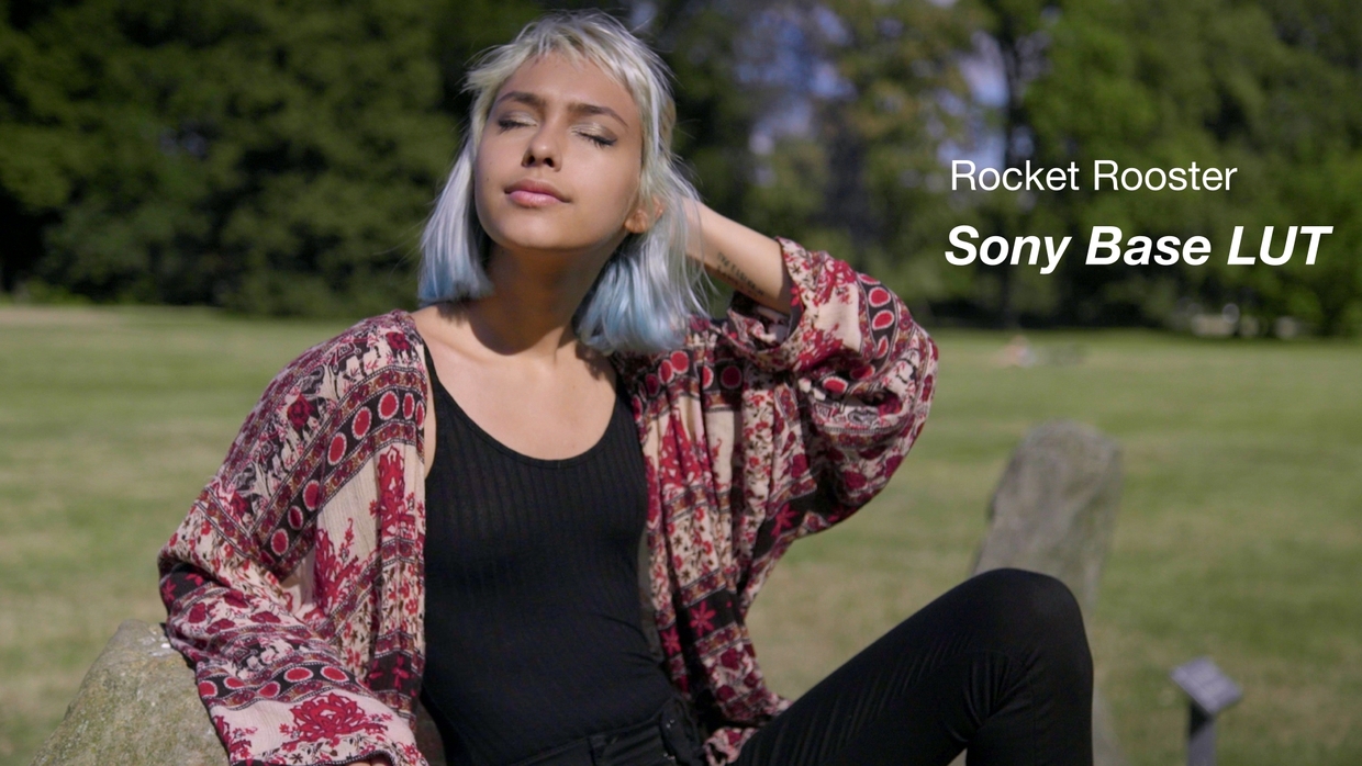 Rocket Rooster Sony Base LUT