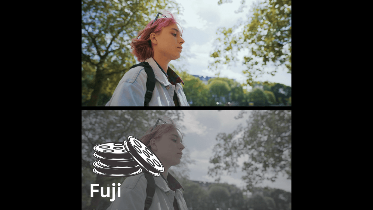 Rocket Rooster Film Labs 250D LUT