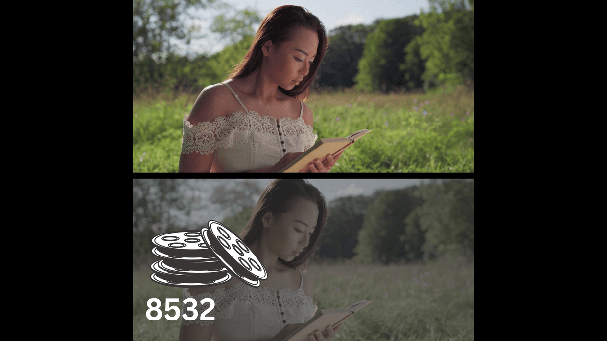 Rocket Rooster Film Labs 8532 LUT