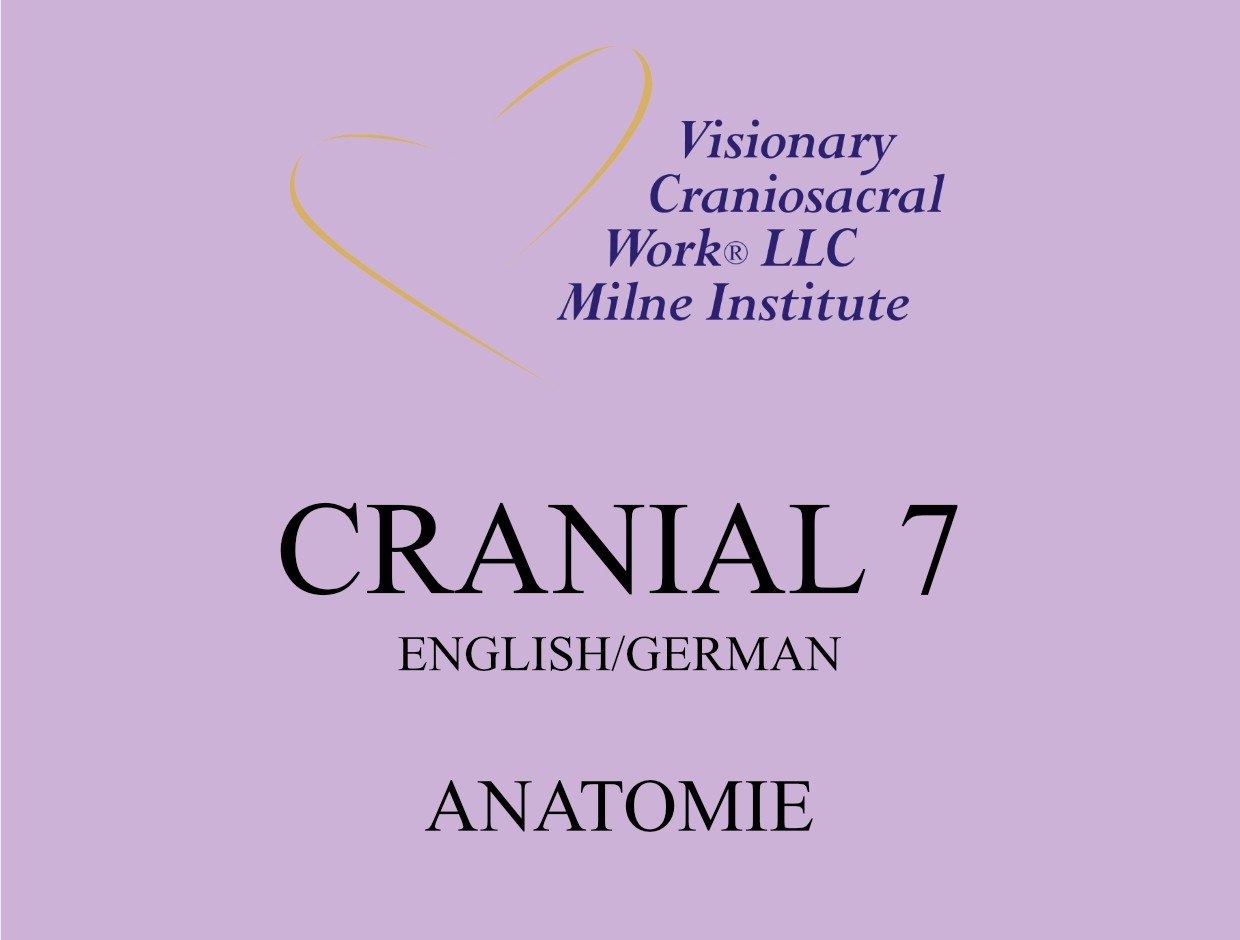 C7 Anatomy English/Deutsch