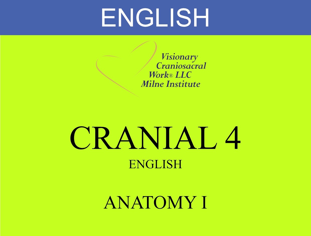 C4 Anatomy