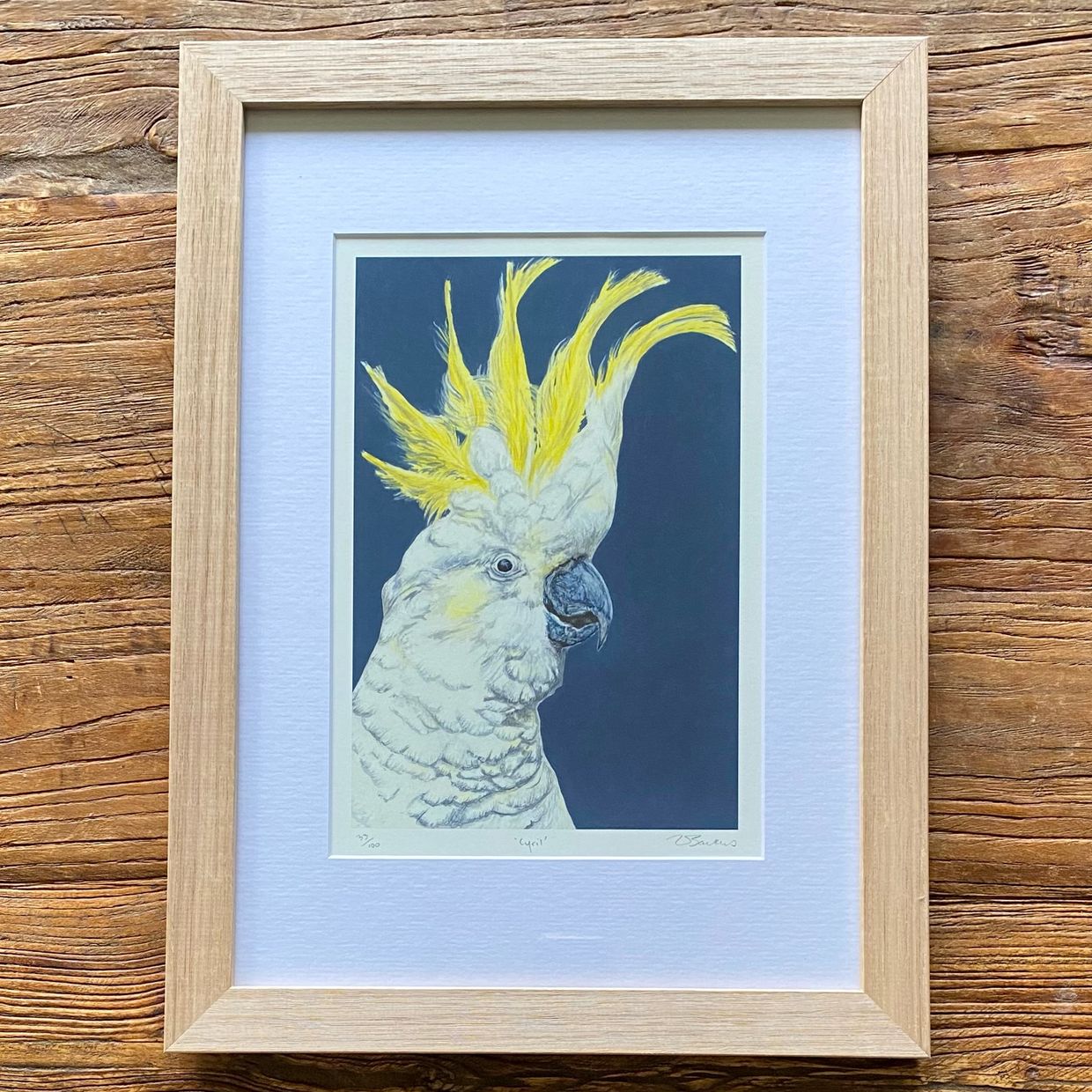 'Cyril' limited edition A4 print