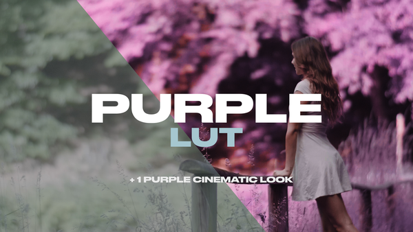 LUT | FREE PURPLE CINEMATIC | BEHIND