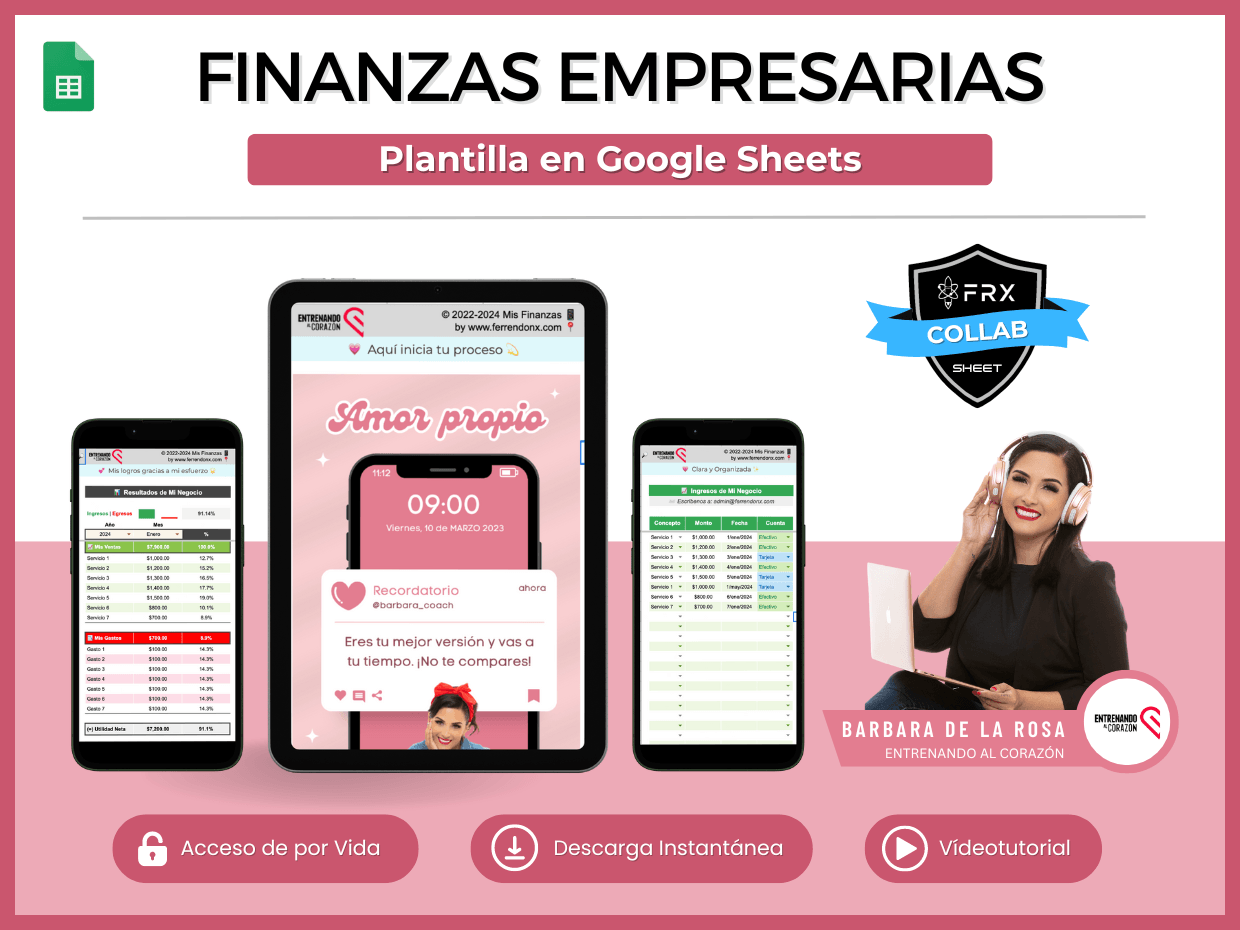 Finanzas Empresarias Sheets Ft. Barbara de la Rosa | $MXN