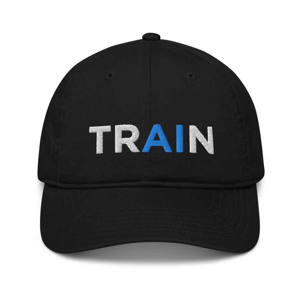TRAIN Hat - Embroidered