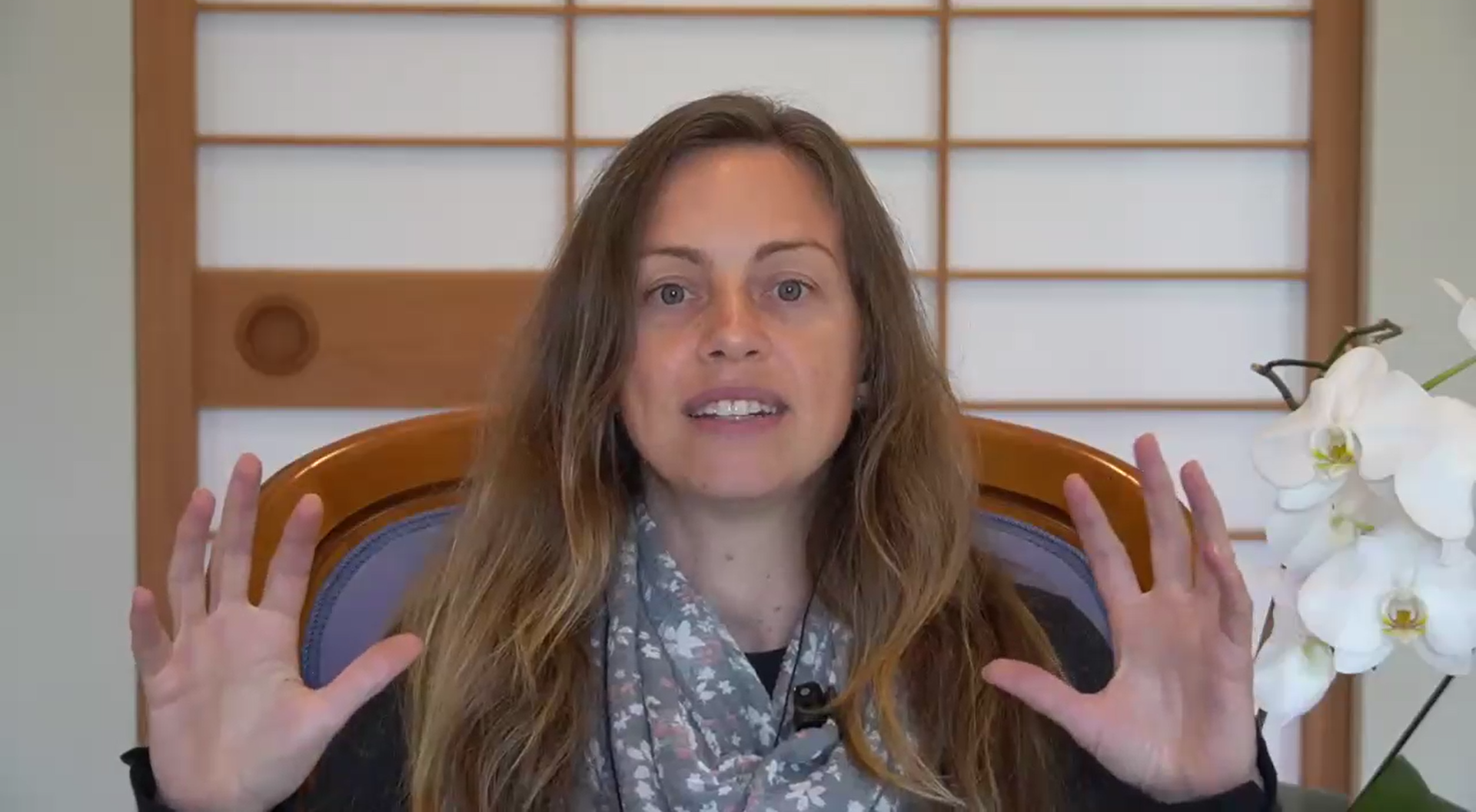 Open Zoom: June 1st, 2024