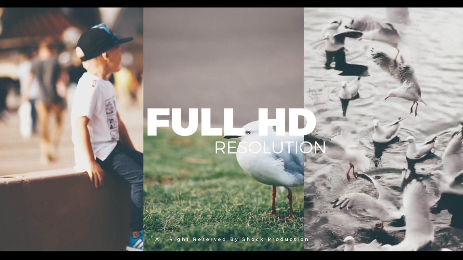 Cinematic Trailer 2 Template Sony Vegas Pro 12 ..20 And Above