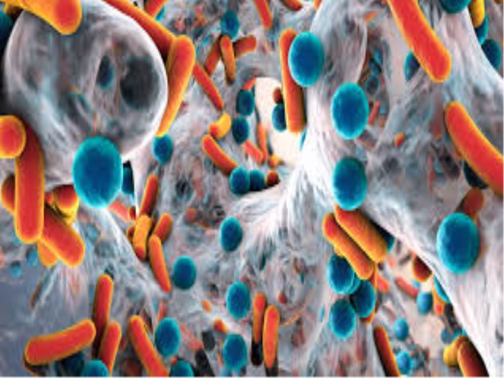Dissolve Nanobacterium Sanguineum Wav.