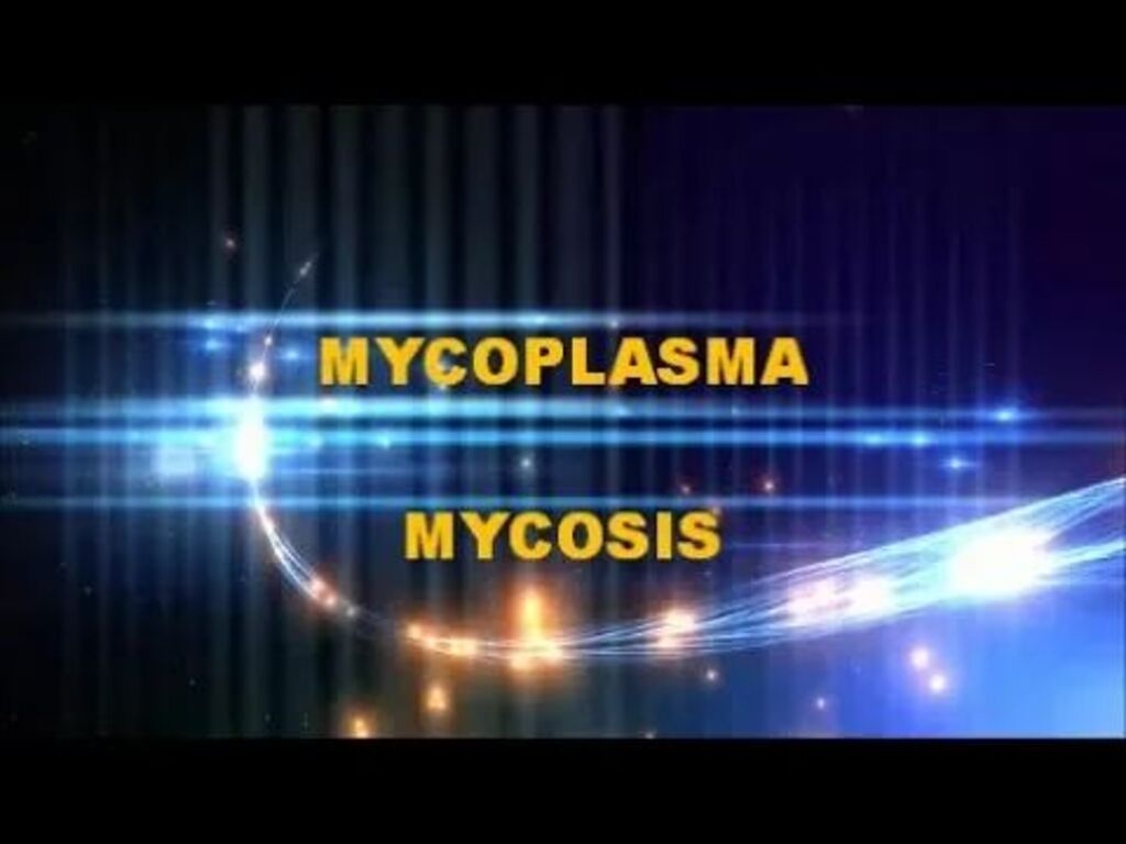 ⚛️ Mycoplasma + Mycosis Healing Combination