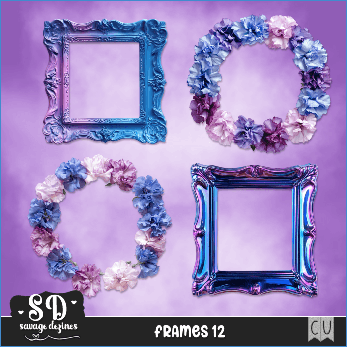 SD - AI CU Frames 12