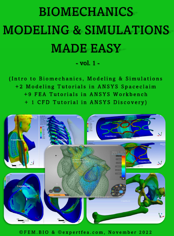 Biomechanics - Volume 1, all the simulations made in