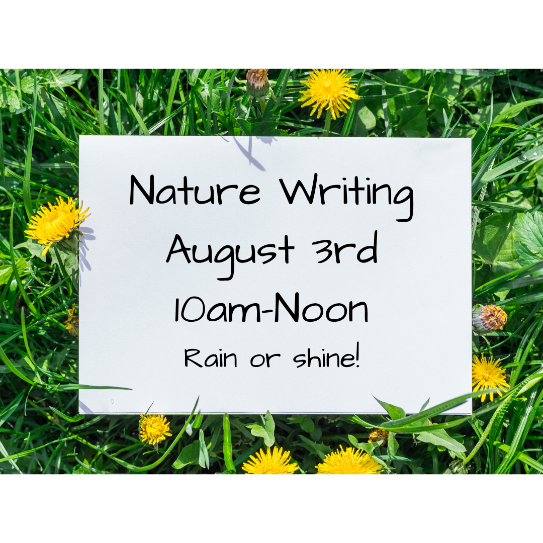 Storytelling Workshops