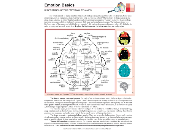 Emotion Basics: Understanding Your Emotional Dynamics