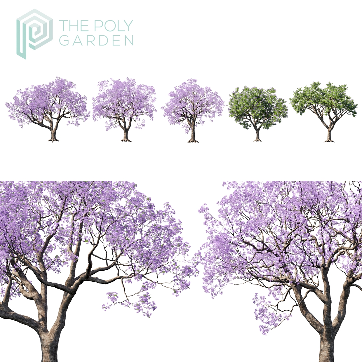 Jacaranda Mimosifolia for 3DS Max - GrowFX Option Available