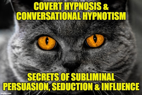 COVERT HYPNOSIS & CONVERSATIONAL HYPNOTISM COURSE