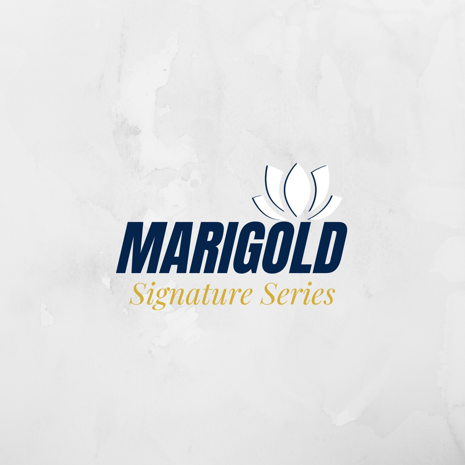 Marigold Signature Series | Fine Art Prints by Matt Brewster